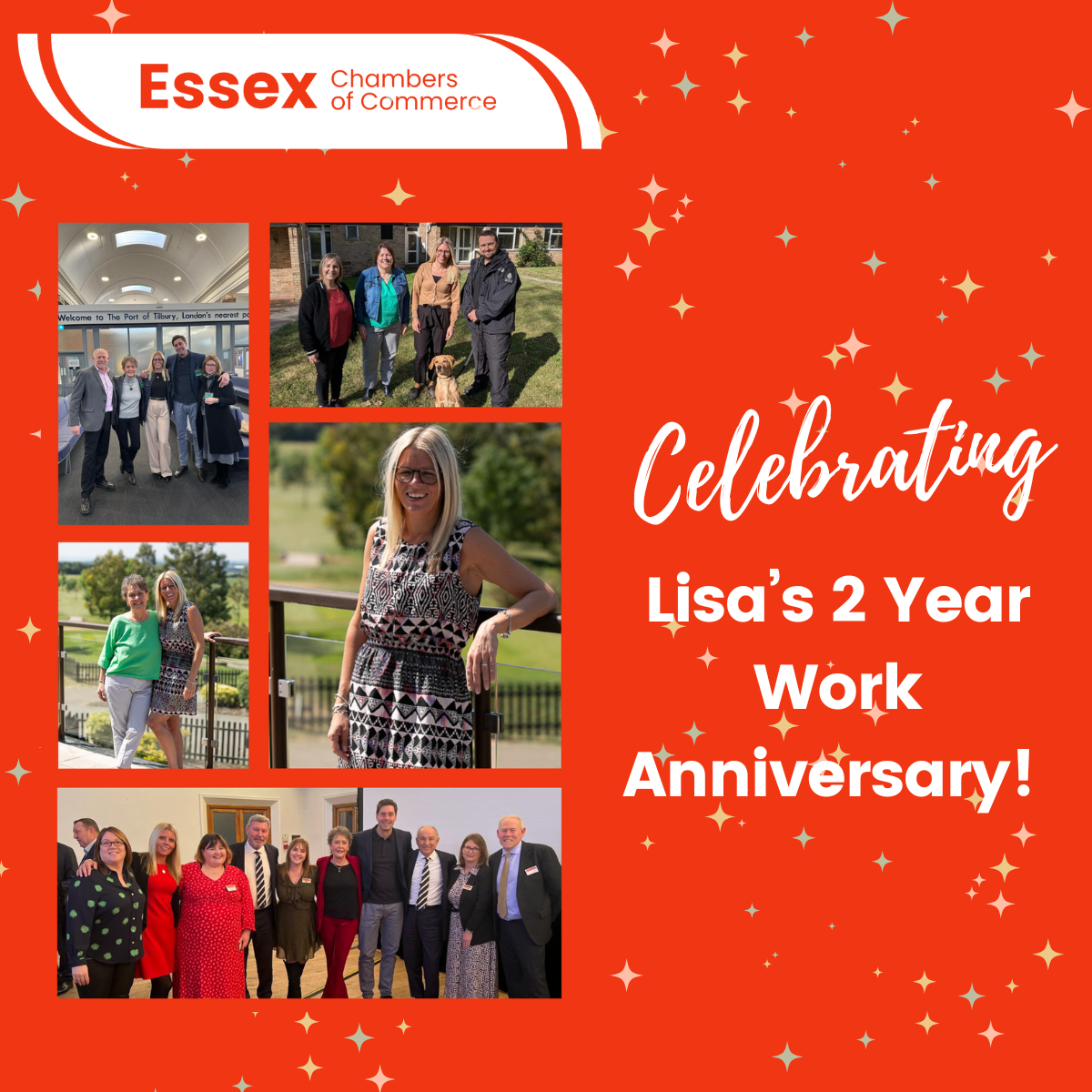 Grapevine Magazine - Welcome to the February Edition of Grapevine